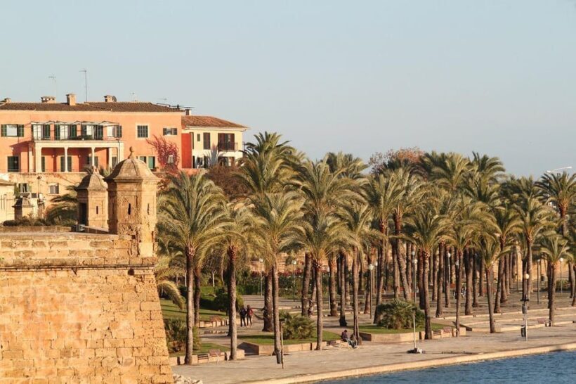 Palma de Mallorca Private Guided Walking Tour - The Sum Up