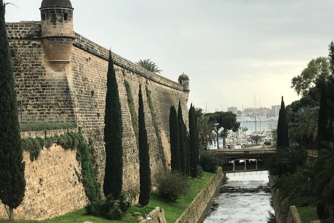 Palma De Mallorca: PRIVATE Local Food and Cathedral Experience - Tapas and Hidden Spots