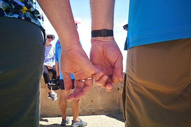 Palma De Mallorca Shore Excursion: Bike Tour With Cathedral and Parc De La Mar - Customer Feedback: Positive