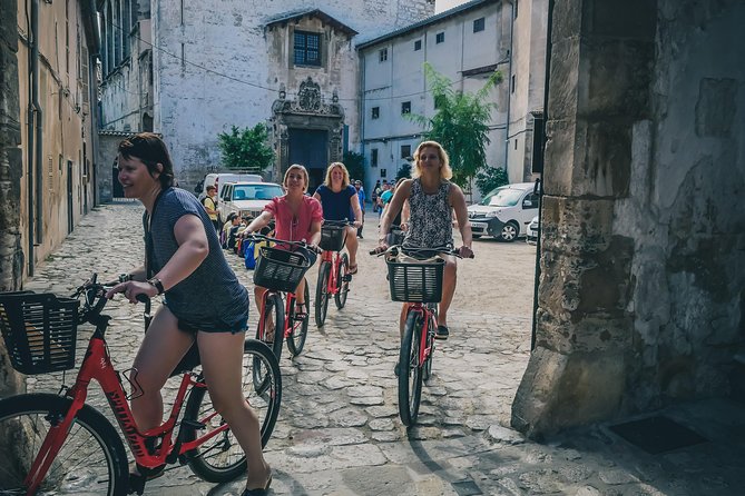 Palma De Mallorca Shore Excursion: Bike Tour With Cathedral and Parc De La Mar - Group Size and Availability