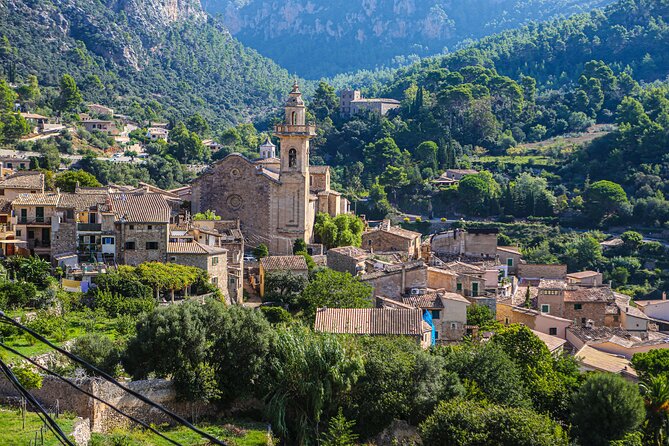 Palma De Mallorca Shore Excursion: Private Tour of Valldemossa, Soller and Serra De Tramuntana - Customer Reviews and Experiences