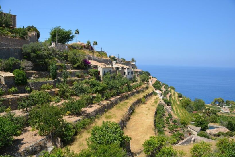 Palma de Mallorca: Son Juliana Wine Experience and Tasting - The Scenic Setting and Atmosphere