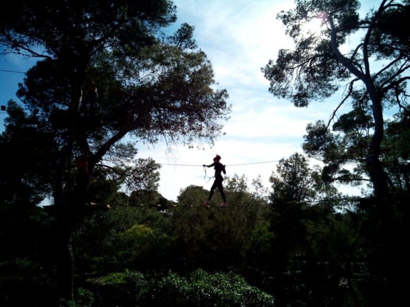 Palma: Family or Sports Course Adventure at Forestal Park - An Authentic Mallorca Adventure for All Ages