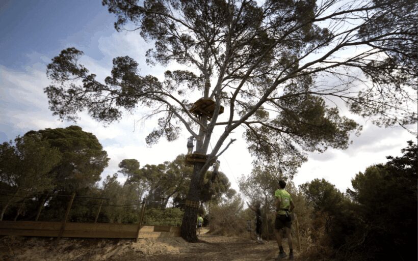 Palma: Family or Sports Course Adventure at Forestal Park - FAQ