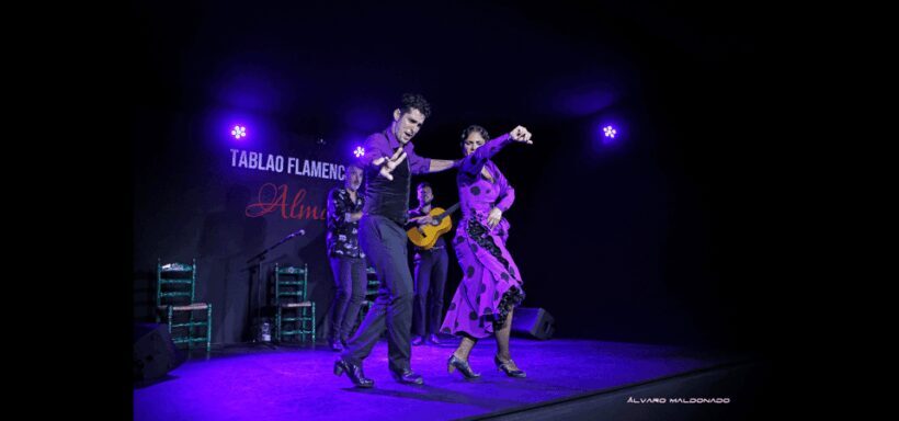 Palma: Flamenco Show at Tablao Flamenco Alma with Drink - An Authentic Flamenco Night in Palma
