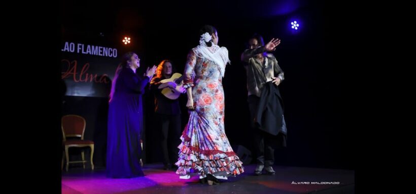 Palma: Flamenco Show at Tablao Flamenco Alma with Drink - Overall Value and Who Will Enjoy This