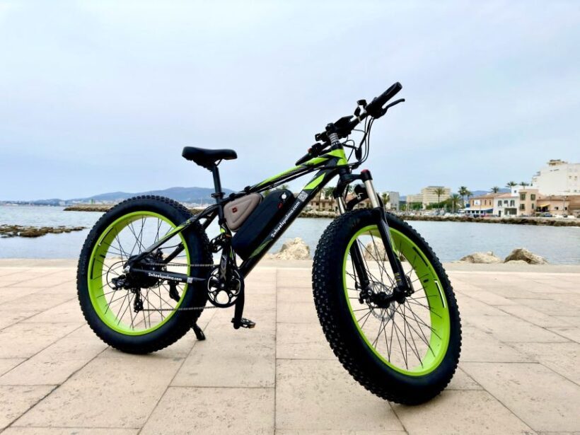 Palma: Guided City Tour with a Fat Tire E-Bike - A Closer Look at the Palma E-Bike Tour