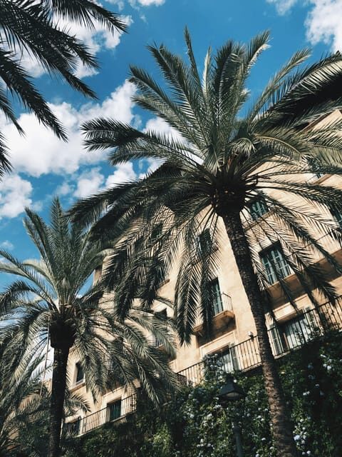 Palma: "History & Beauty" Eco-Friendly E-Scooter Tour - Included Amenities and Practical Details