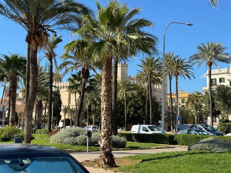 Palma in person and away from the crowds - FAQs