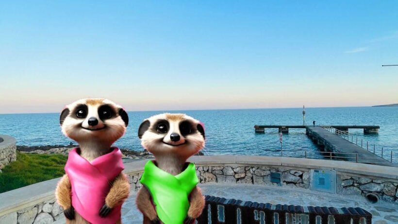 Palma: The Magical Creatures of Palma, exciting family game - Key Points