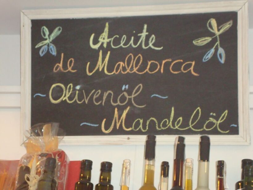 Palma Tour with Wine and Tapas Tasting - Real-World Experiences and Authentic Insights