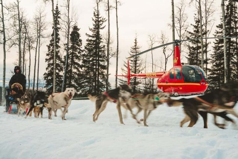 Palmer: "Dogs and Glaciers" Sledding and Helicopter Tour - Who Would Enjoy This Tour?
