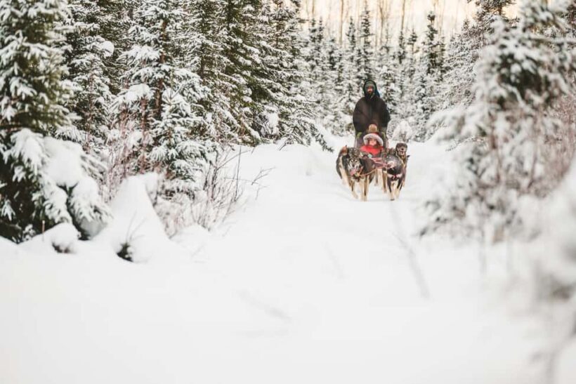 Palmer: "Dogs and Glaciers" Sledding and Helicopter Tour - FAQ