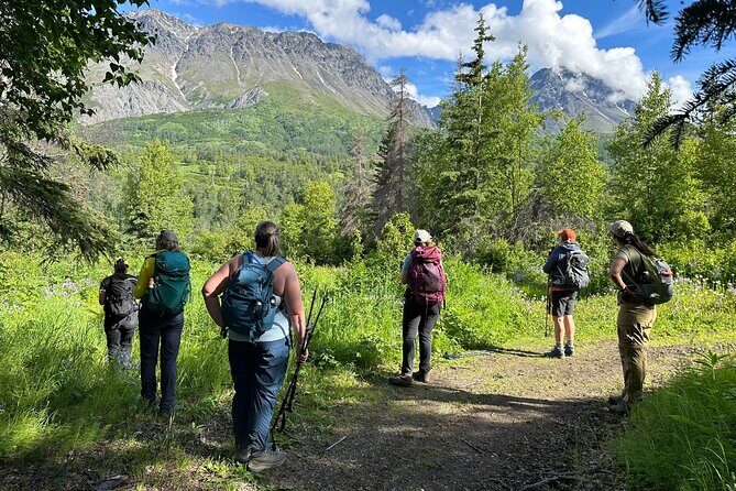 Palmer's Hidden Waterfalls: Full Day Hike - Cost and Value: Is It Worth It?