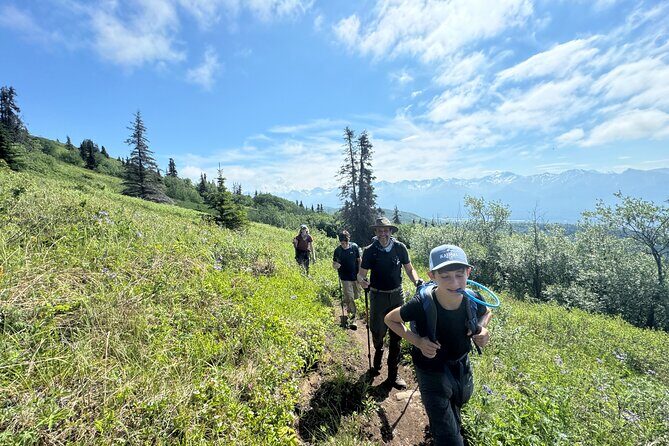 Palmer's Hidden Waterfalls: Full Day Hike - FAQ