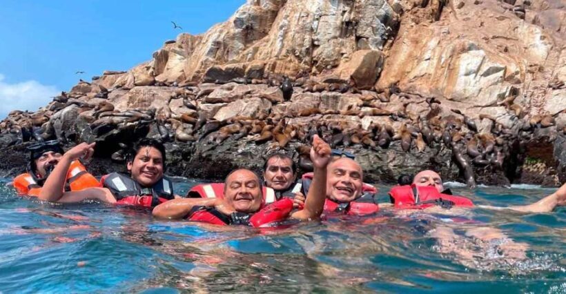 Palomino Islands speedboat excursion & Swim with sea lions - An Introduction to the Palomino Islands Experience