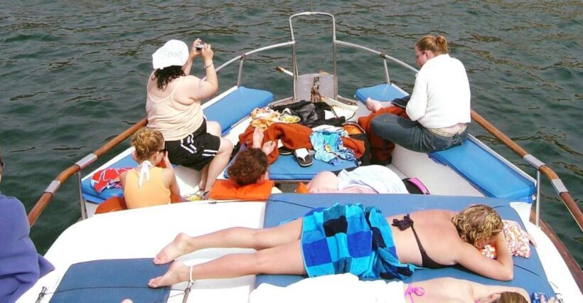 Palomino Islands Yacht Tour and swim alongside the sea lions - Key Points