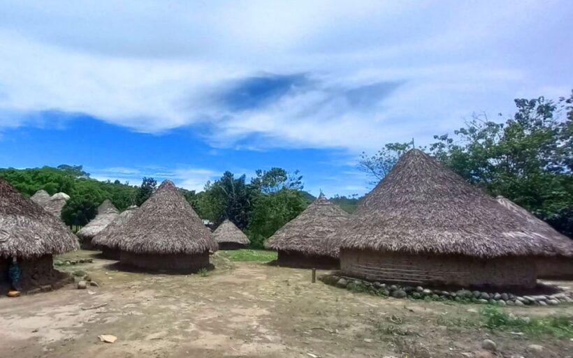 Palomino: Private Tour to Tungueka Indigenous Village - FAQ