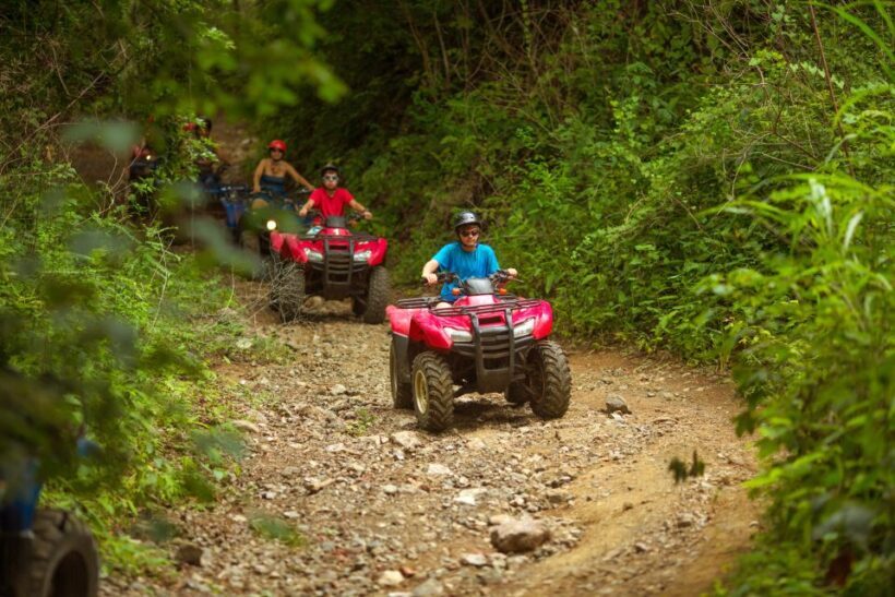 Palomino Quad Bike Tour - Authentic Experiences and Traveler Feedback