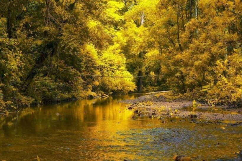 Palomino Quad Bike Tour - The Sum Up: Who Should Consider This Tour?