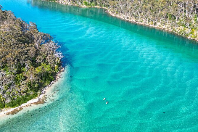 Pambula River Kayaking Tour - The Guides and Their Knowledge