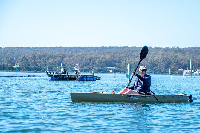 Pambula River Kayaking Tour - Practical Details and Value