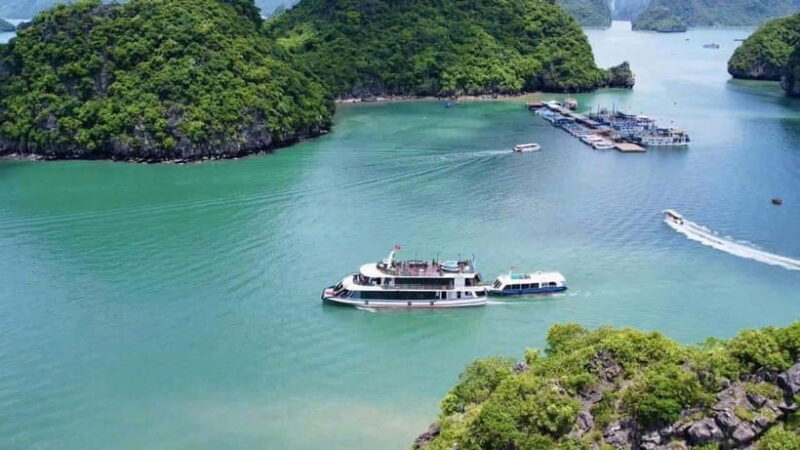 Pamela Cruise: HaLong Bay day trip with Lunch & Activities - Who Will Love This Tour?