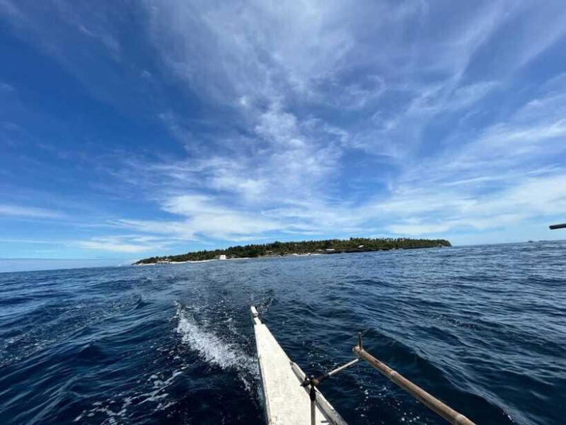 Pamilacan island: Dolphins, snorkel, lunch and walking tour - Pricing and Value