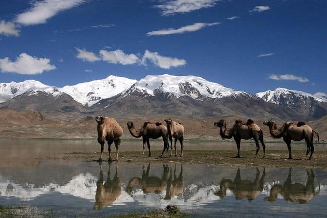 Pamir Highway in 5 days from Dushanbe to Osh - Introduction