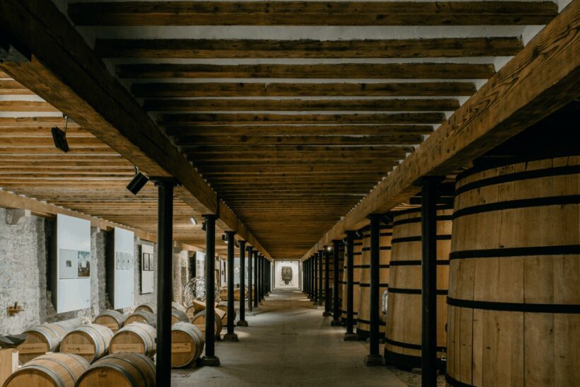 Pamplona: Bodegas Otazu - Key Points