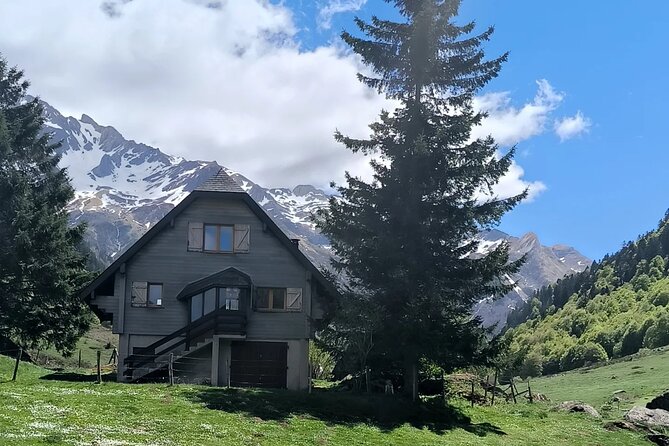 Pamplona de Bocado en Bocado: Join Our Pintxo Tour! - Key Points