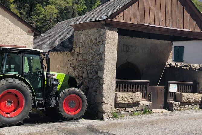 Pamplona de Bocado en Bocado: Join Our Pintxo Tour! - What to Expect During the Tour