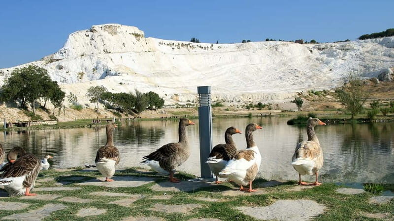 Pamukkale and Hierapolis: Full-Day Private or Group Tour - FAQ