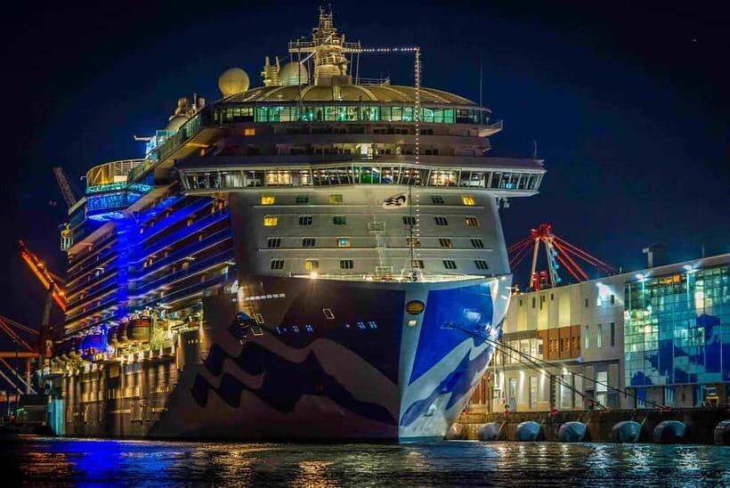 Panaji: Mandovi River Cruise with Dinner and Hotel Transfer - Final Thoughts: Who Should Take This Cruise?