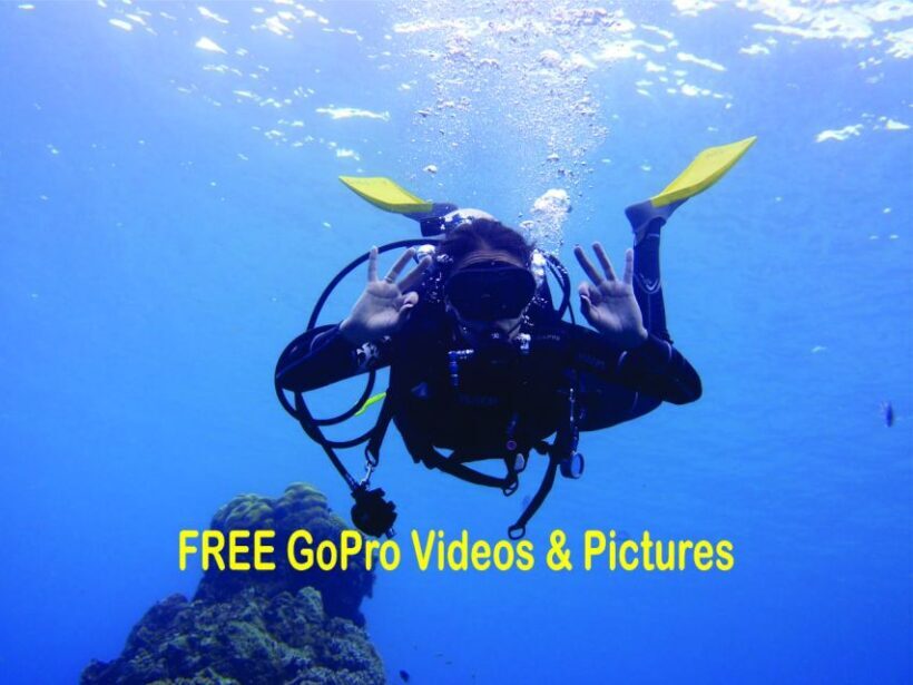 Panama City Beach: Beginners Scuba Diving Tour - The Itinerary: What to Expect from Start to Finish