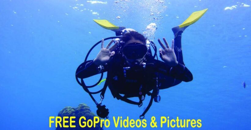 Panama City Beach: Beginners Scuba Diving Tour - The Authentic Experience: What Makes It Special