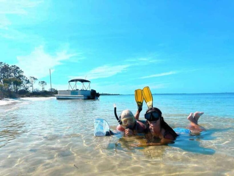 Panama City Beach: Dolphin Watching and Snorkeling Tour - The Experience in Detail