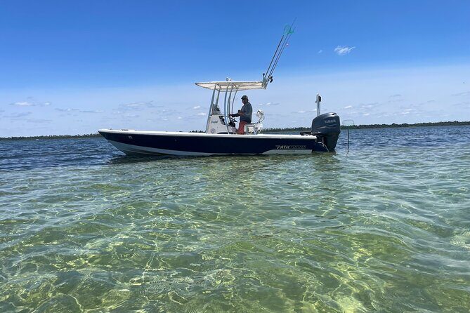 Panama City Beach Florida, Dolphin, Shell Island and Eco Tours - Introduction