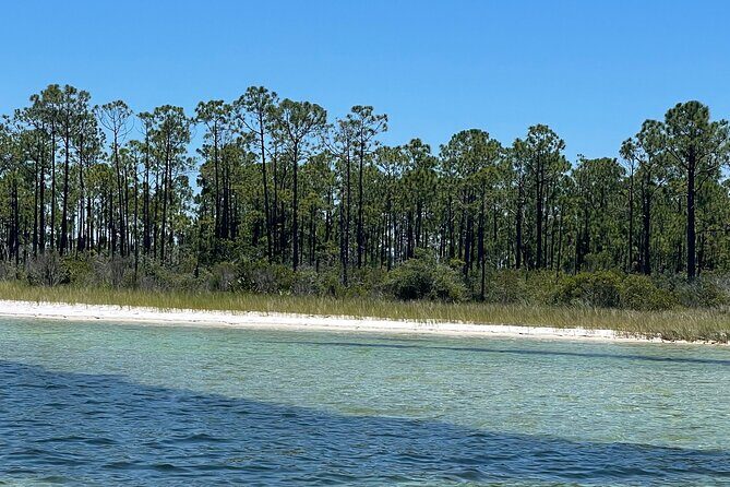 Panama City Beach Florida, Dolphin, Shell Island and Eco Tours - Final Thoughts