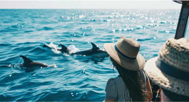 Panama City Beach: Private Dolphin Cruise - Who Should Consider This Tour?