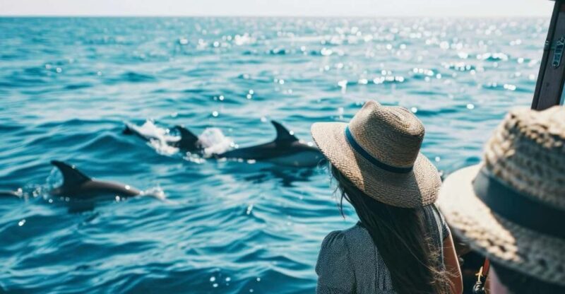 Panama City Beach: Private Dolphin Cruise - Final Thoughts: Is It Worth It?