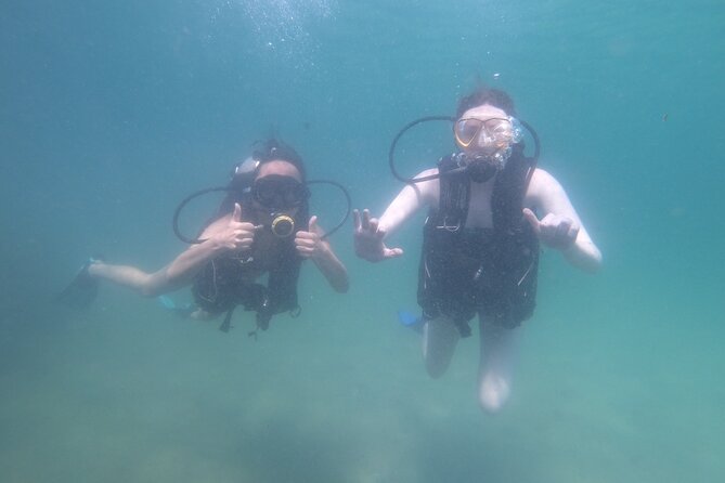 Panama City Scuba Diving Activity for Beginners - Scuba Diving Activity