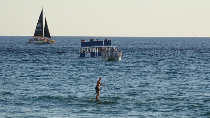 Panama City: Sunset Dolphin Cruise in St. Andrews Bay - Key Points