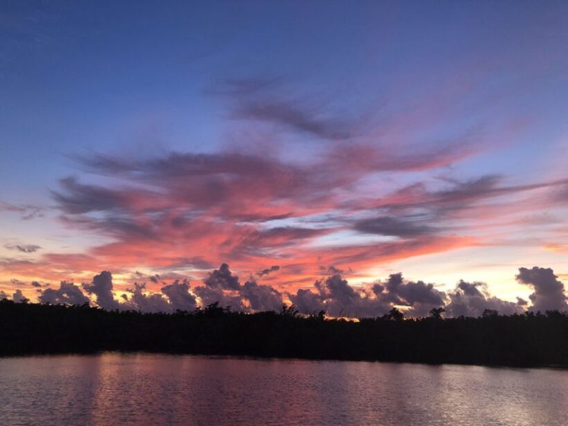 Panama City: Sunset Dolphin Cruise in St. Andrews Bay - A Closer Look at the Experience