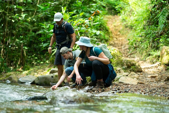 Pance Waterfalls: Hike to Discover the Biodiversity of the Valley - Overview of the Farallones De Cali National Park