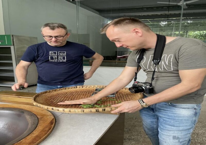 Panda and Green Tea Making tour - Who Will Enjoy This Tour?