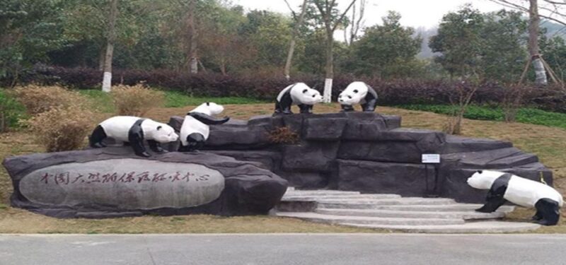 Panda and Green Tea Making tour - Final Thoughts