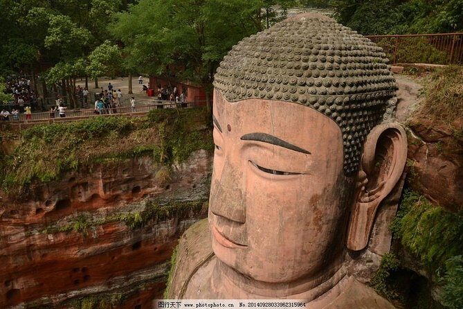 Panda Leshan Buddha Mt Emei 2 Days trip included 1 night stay - Authentic Experiences and Traveler Insights