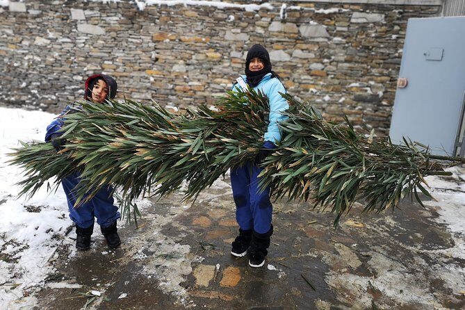 Panda Volunteer expperience in Dujiangyan or Wolong Panda Base - Who Will Enjoy This Experience Most?