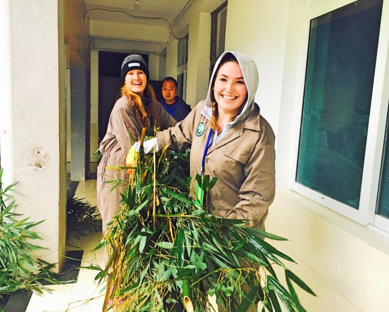 Panda Volunteer Project Day Trip(Wolong/Du Jiang Yan) - What’s Included and What’s Extra